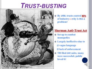 Teddy Roosevelt-progressive | PPTX