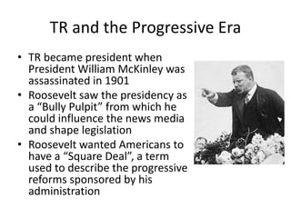 Teddy Roosevelt and the Progressive Movement | PPT
