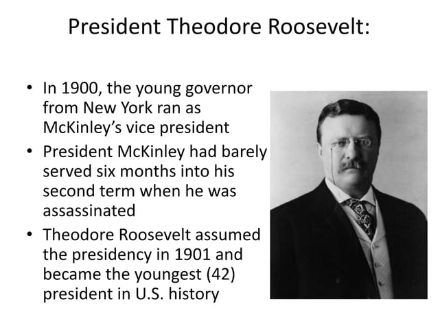 Teddy Roosevelt’s Square Deal | PPTX | Business | Business and Finance