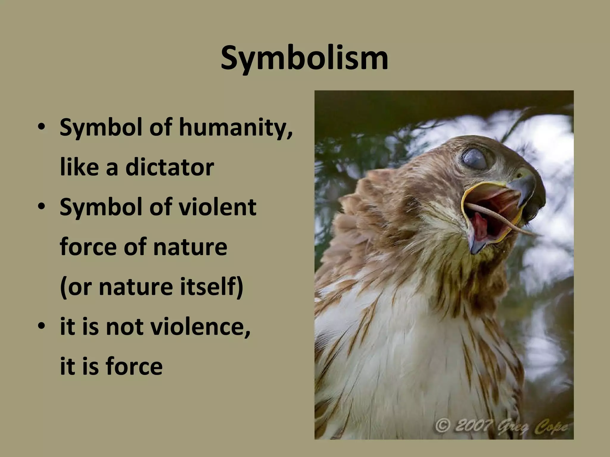 Ted Hughes, Hawk Roosting | PPT