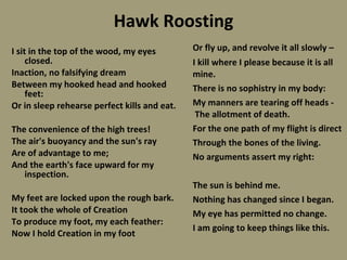 Ted Hughes, Hawk Roosting | PPT