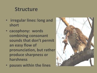 Ted Hughes, Hawk Roosting | PPT