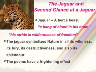 Ted Hughes's Animal Imagery | PPT