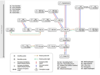 Trans esophageal echocardiography (TEE) orientation | PPT | Heart and ...