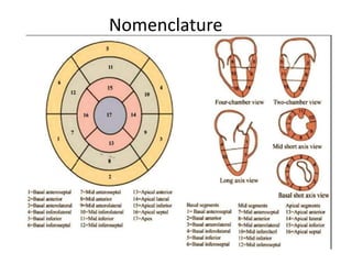 Transesophageal Echocardiography(TEE) | PPTX