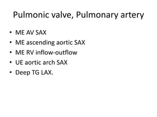 Transesophageal Echocardiography(TEE) | PPTX