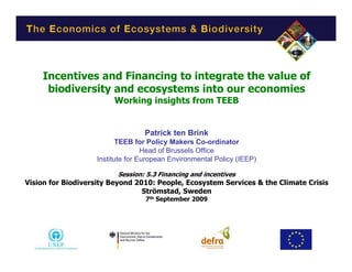 TEEB Incentive Measures by Patrick ten Brink of IEEP Stromstadt 7 September Final | PPT
