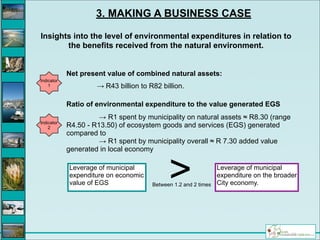 Value of Biodiversity in Cape Town | PDF