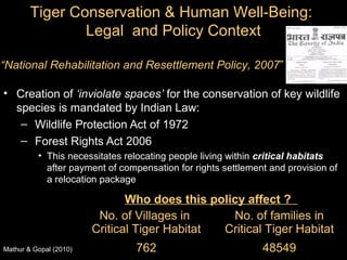 Linking Human, Wildlife, and Ecosystem Well-being: The Case of Big Cat ...