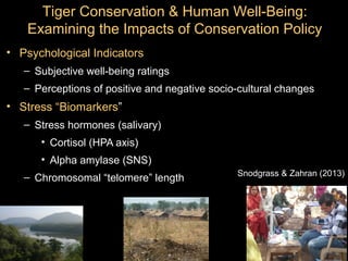 Linking Human, Wildlife, and Ecosystem Well-being: The Case of Big Cat ...