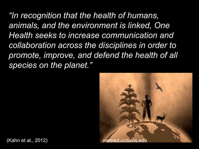 Linking Human, Wildlife, and Ecosystem Well-being: The Case of Big Cat ...