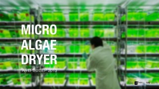 Design and Development of a Solar Dryer for Microalgae Retrieval - An ...