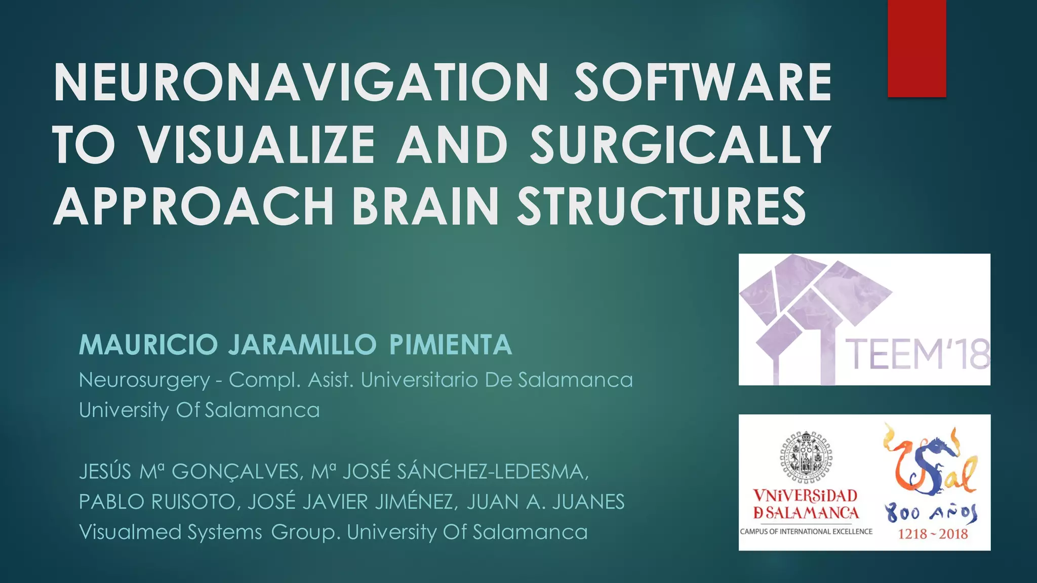 Neuronavigation Software to visualize and surgically approach brain ...