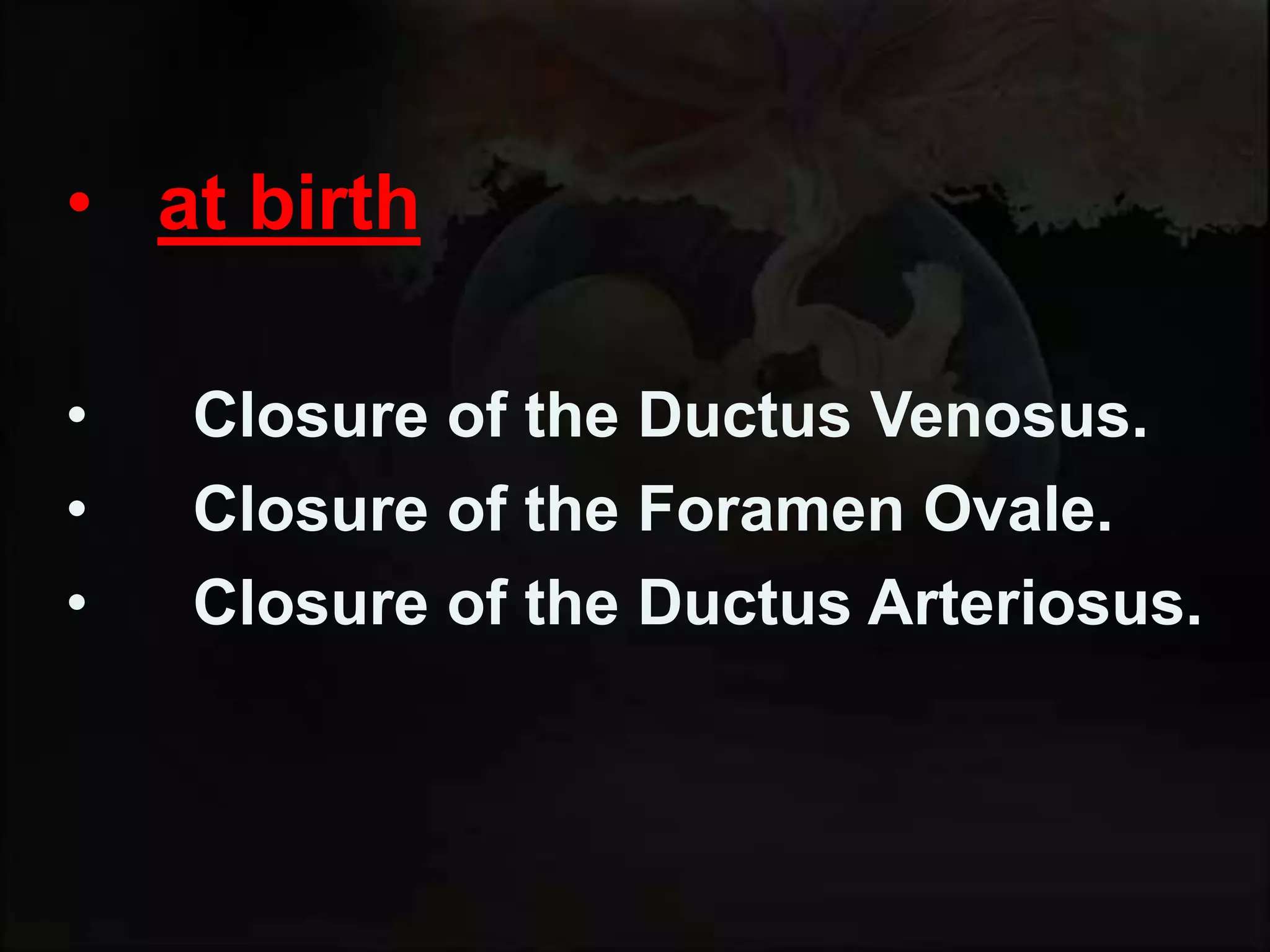 Fetal Circulation Ppt