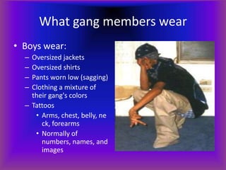 Teenage gang affiliation[1] | PPT