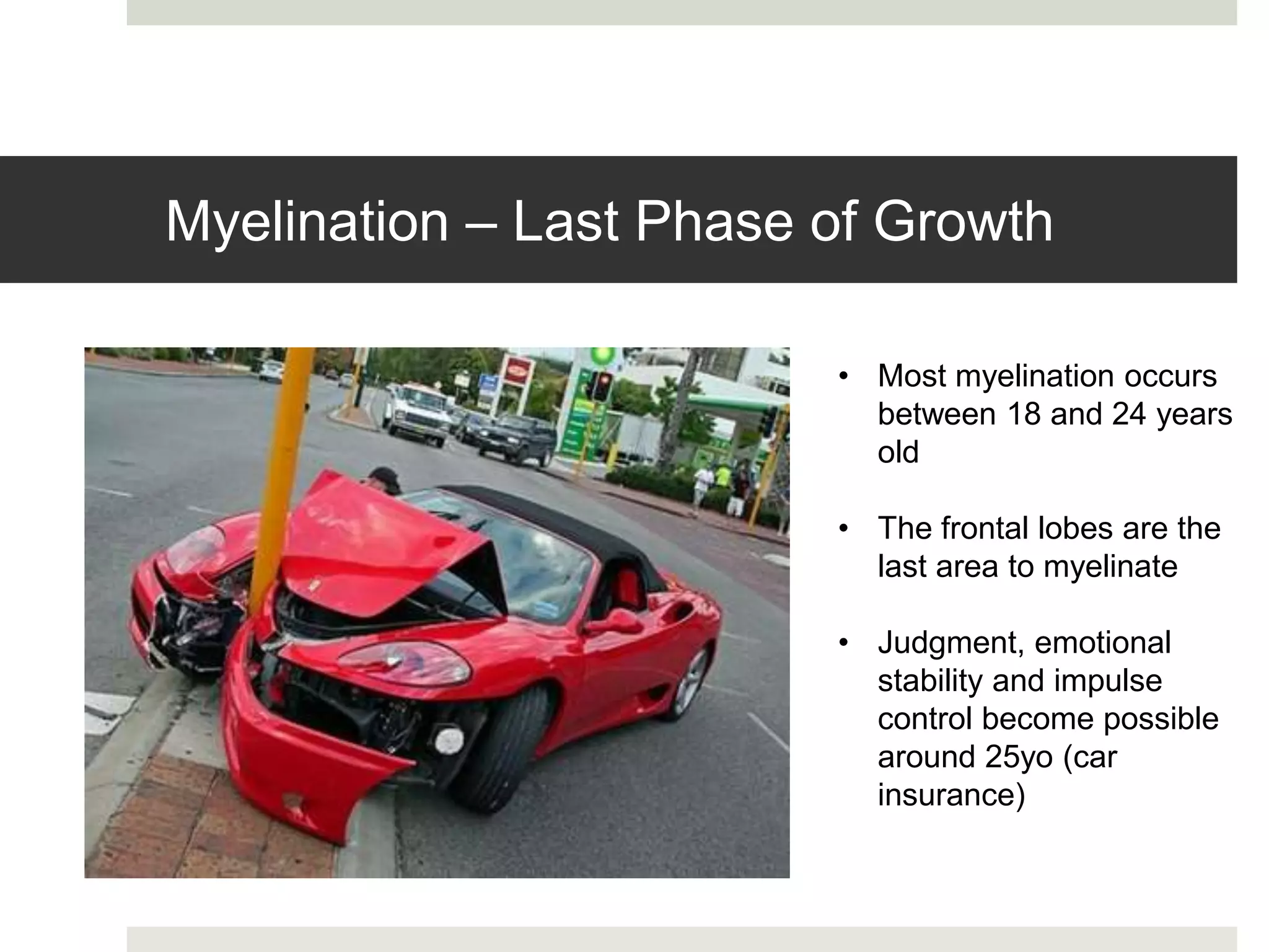 The Teen Brain: Still Under Construction | PPTX