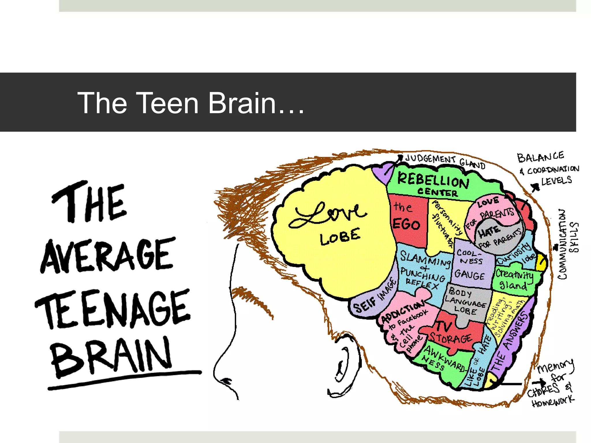 The Teen Brain: Still Under Construction | PPTX