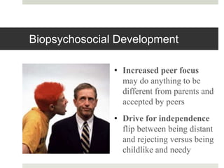 The Teen Brain: Still Under Construction | PPTX