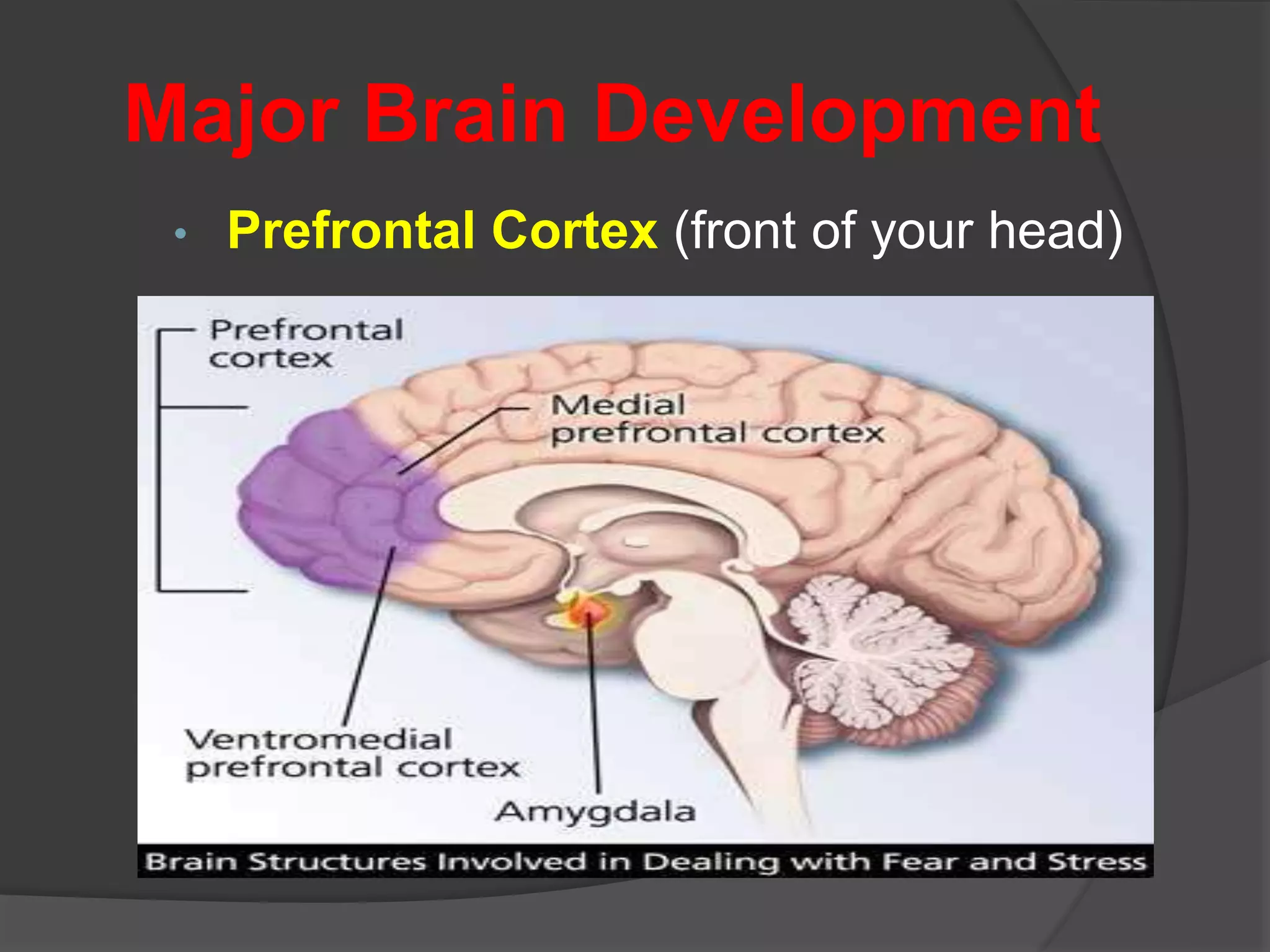 Teens, social media and addiction 5.04.16