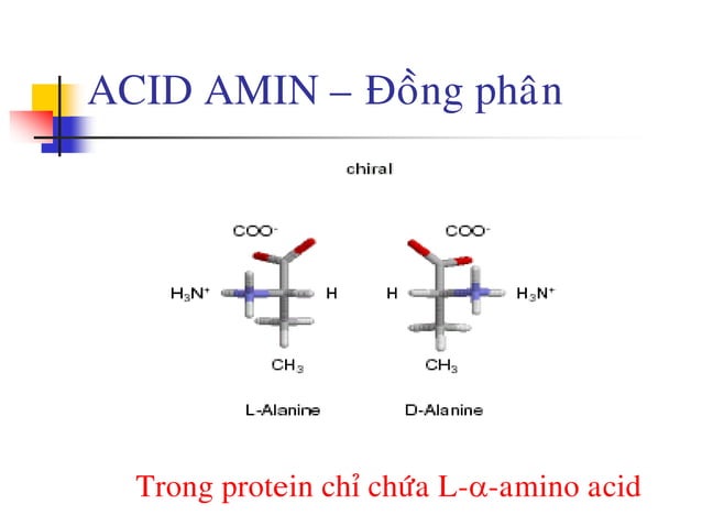 Hóa học protid | PDF