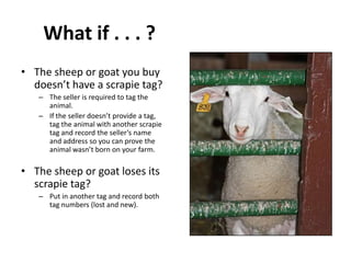 Teeth, tags, and a TSE | PPTX