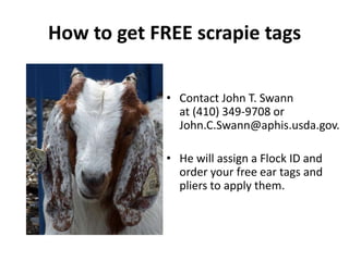 Teeth, tags, and a TSE | PPTX