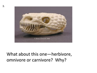 TEETH... tell all. (teach) | PPT