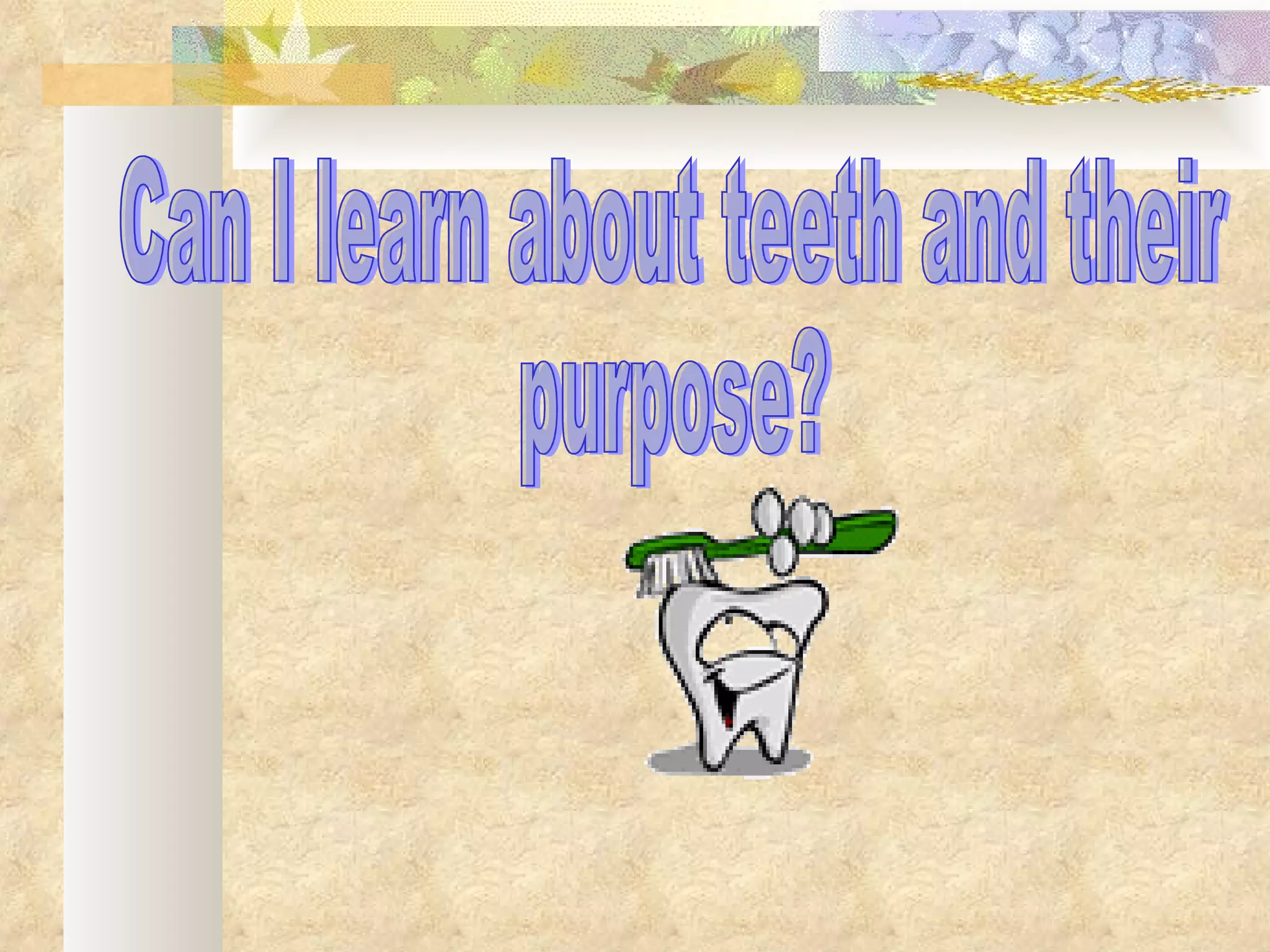 Teeth | PPT | Dental Health | Diseases and Conditions