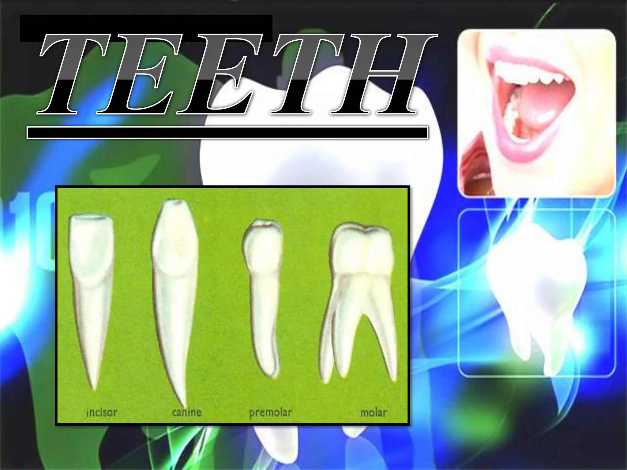 Teeth | PPTX