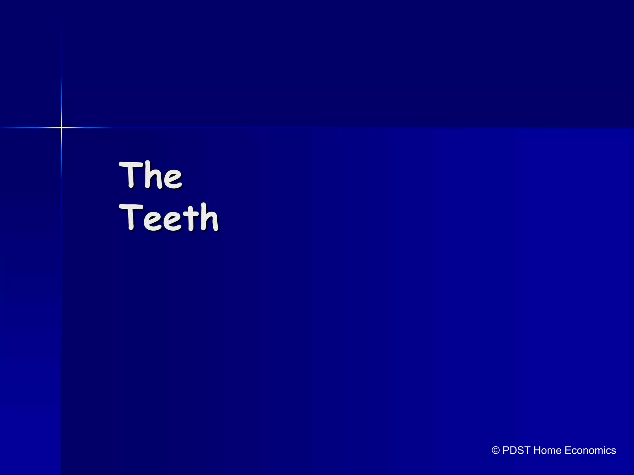 Teeth | PPT