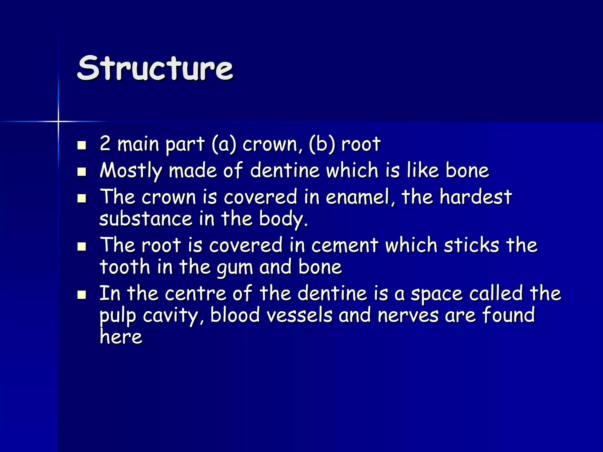 Teeth | PPT