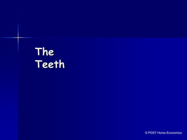 Teeth | PPT