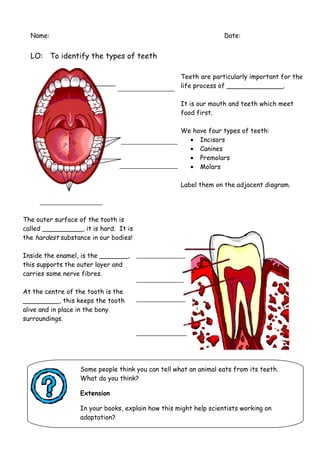 Teeth | DOC