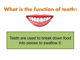 Teeth | PPTX