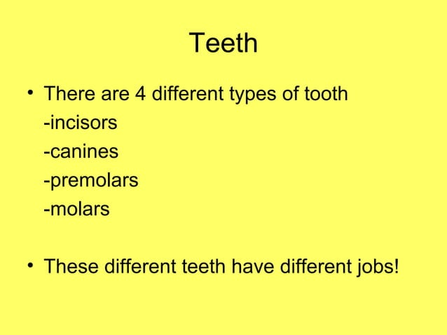 Teeth | PPT