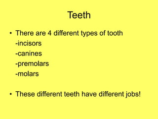 Teeth.ppt