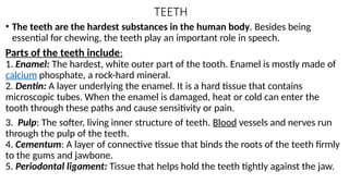 teeth description and type and names how to care | PPTX