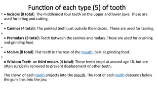 teeth description and type and names how to care | PPTX