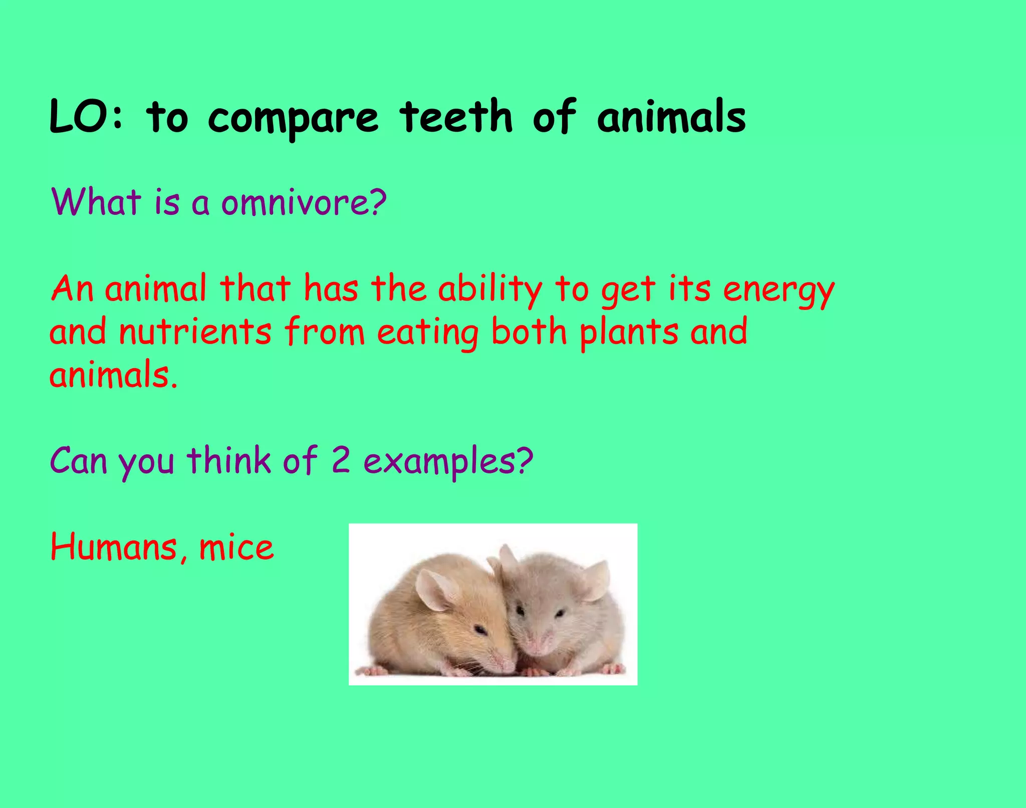 Teeth-Lesson-2-Read-Only.pptx