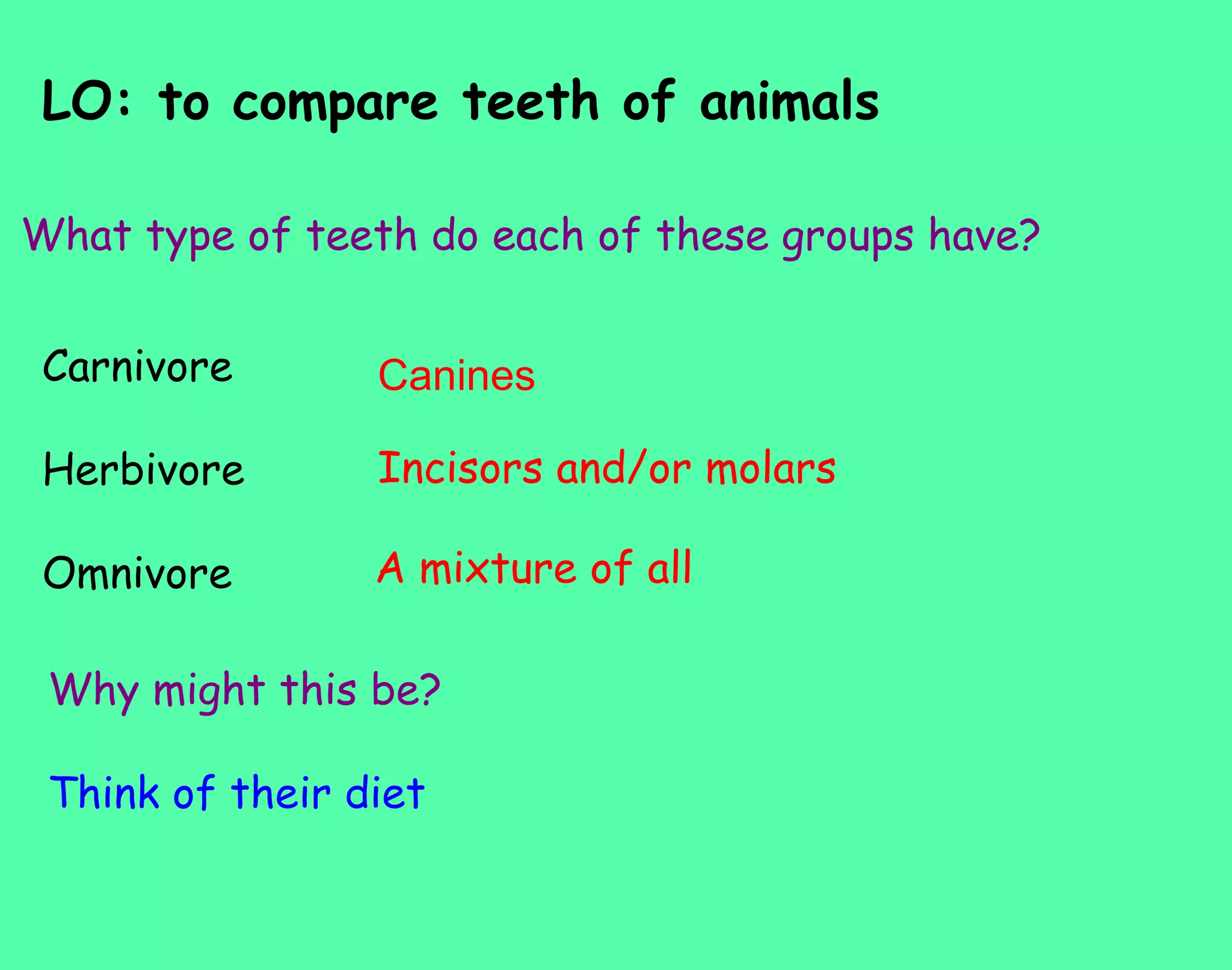 Teeth-Lesson-2-Read-Only.pptx
