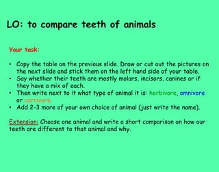 Teeth-Lesson-2-Read-Only.pptx
