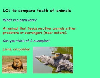 Teeth-Lesson-2-Read-Only.pptx