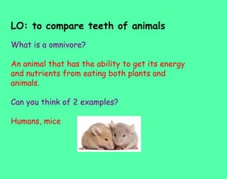 Teeth-Lesson-2-Read-Only.pptx