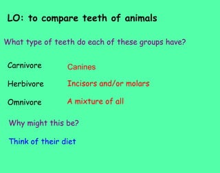 Teeth-Lesson-2-Read-Only.pptx