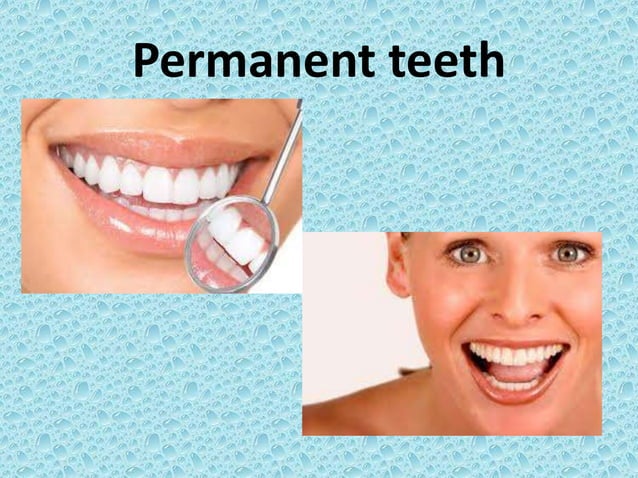 Teeth wiki | PPT