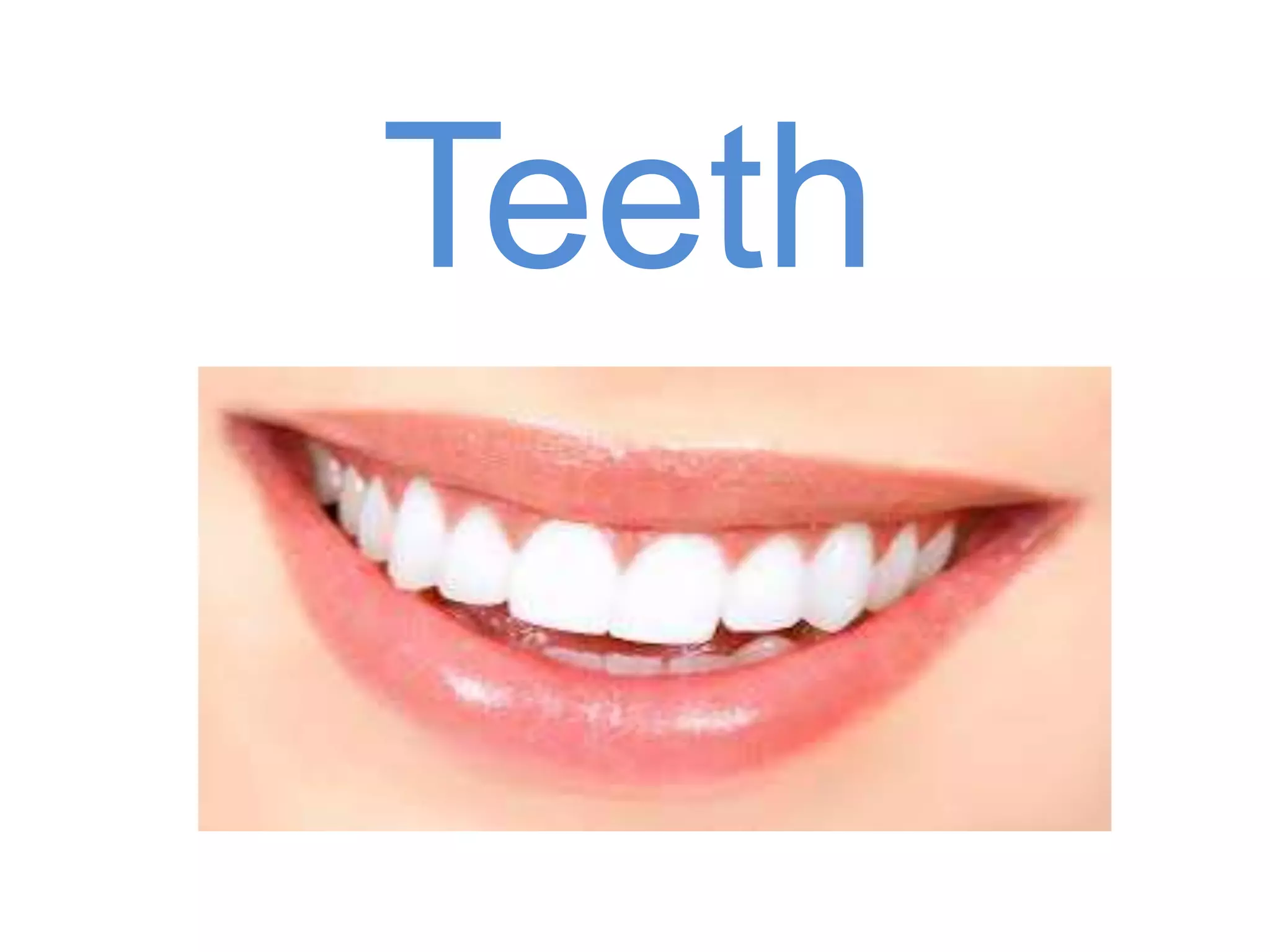 Teeth 1 | PPTX