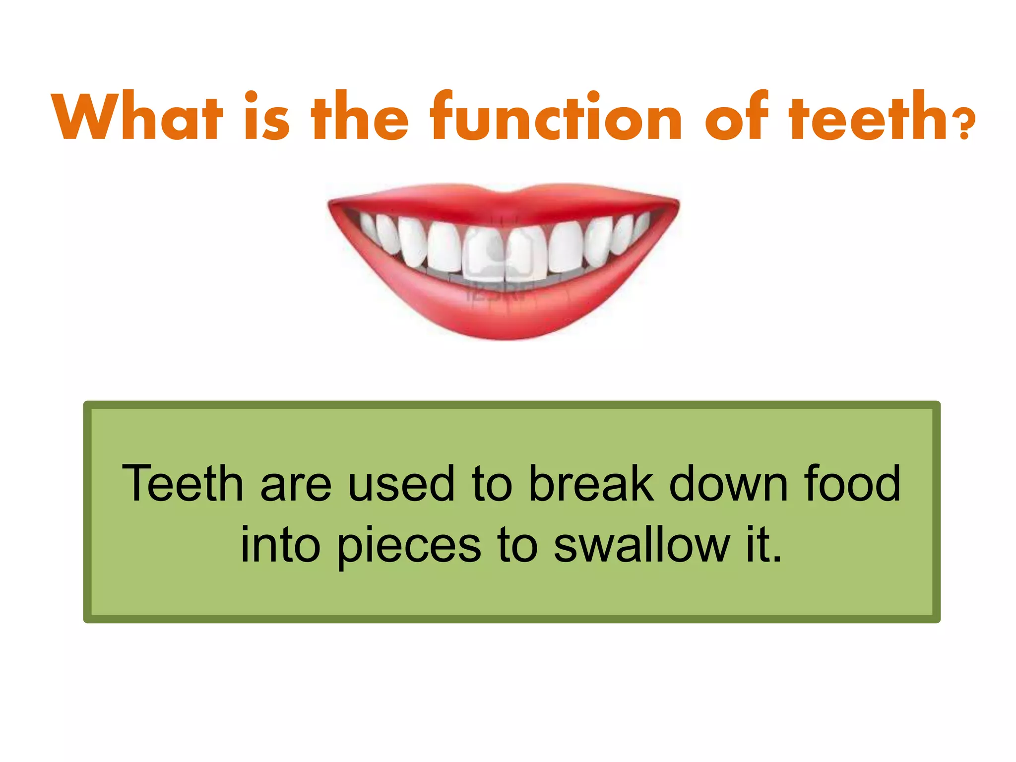 Teeth 1 | PPT