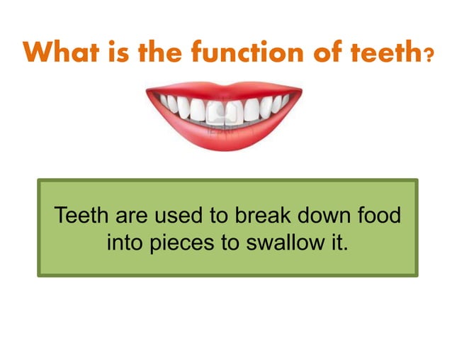 Teeth 1 | PPTX