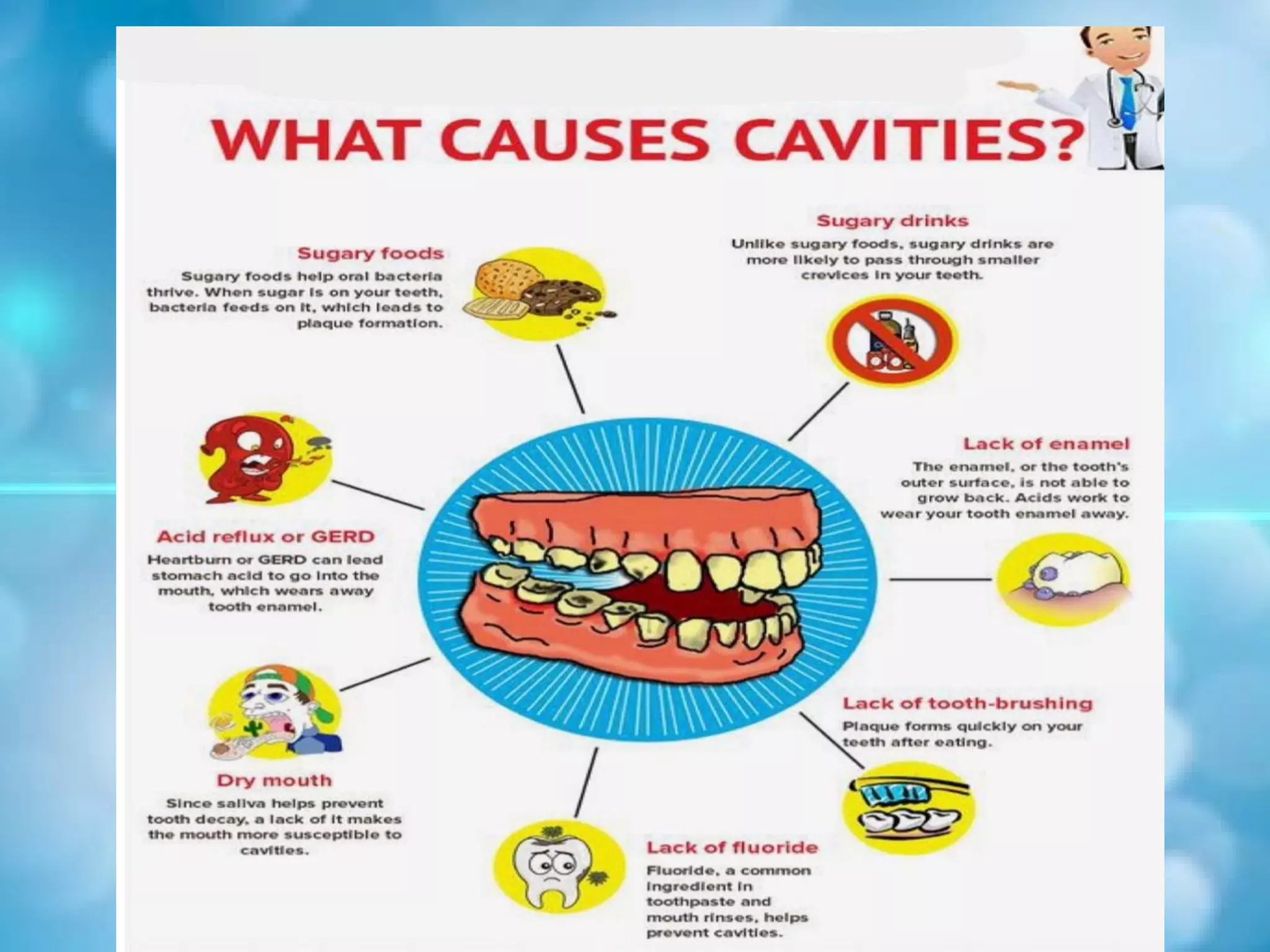 Teeth and digestive system | PDF