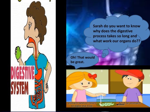 Teeth and digestive system | PPT